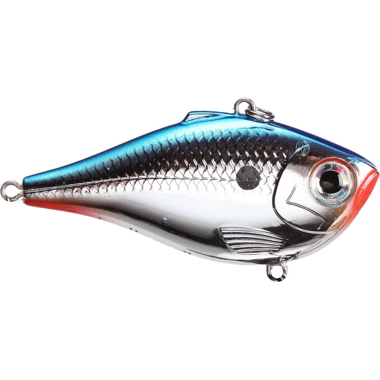 Rapala Rattlin Rap Lipless Crankbaits - Fin Feather Fur Outfitters