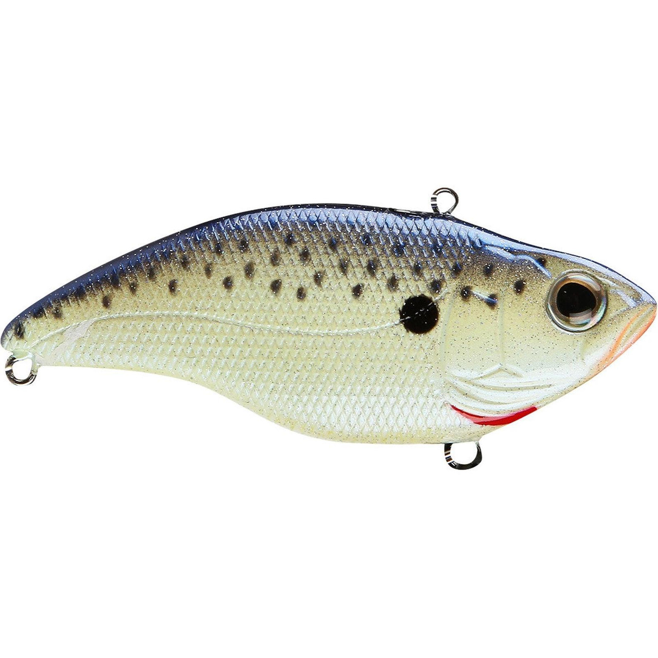 Spro Aruku Shad Lipless Crankbaits - Fin Feather Fur Outfitters