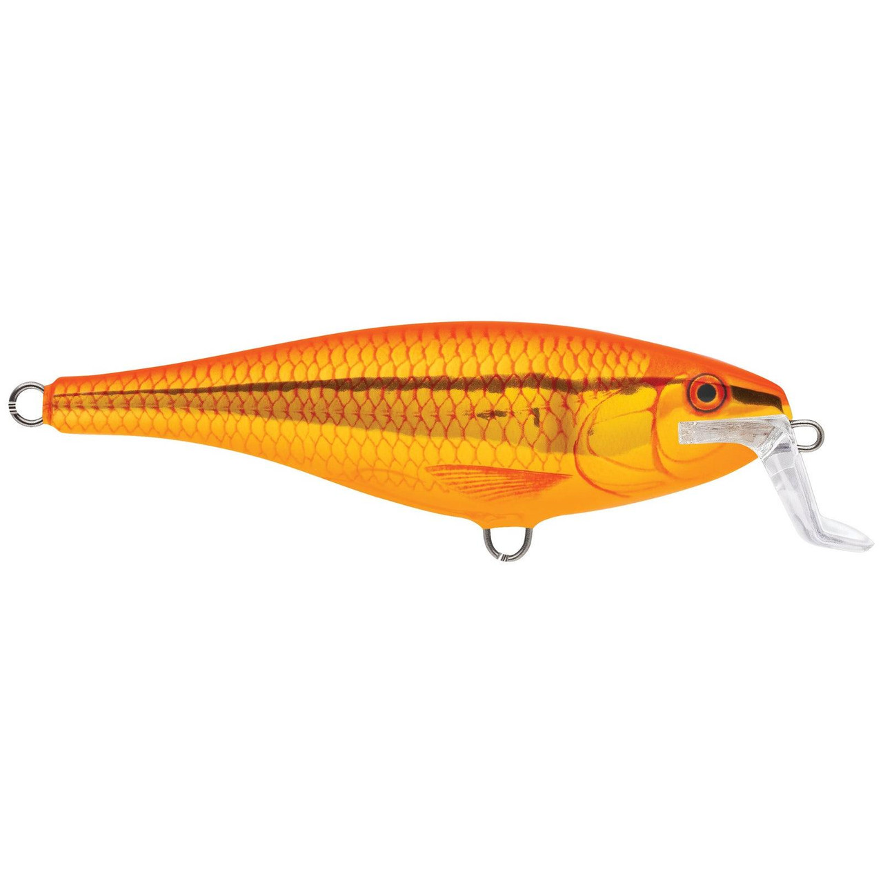 Rapala Super Shad Rap - Fin Feather Fur Outfitters