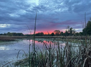 Duck Hunting Gear Checklist : My Opening Day Duck Season Hunt Northern ...