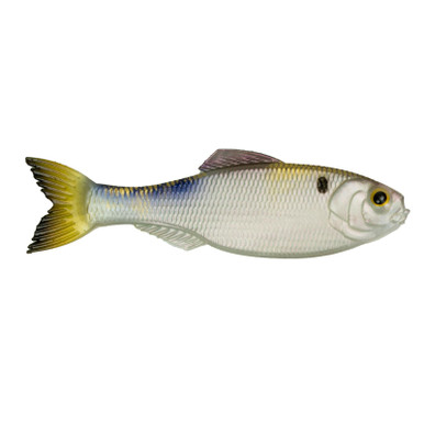 6th Sense Panorama 5 4K Shad - Fin Feather Fur Outfitters