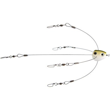 Strike King Titanium Rig Tennessee Shad Short - Fin Feather Fur Outfitters