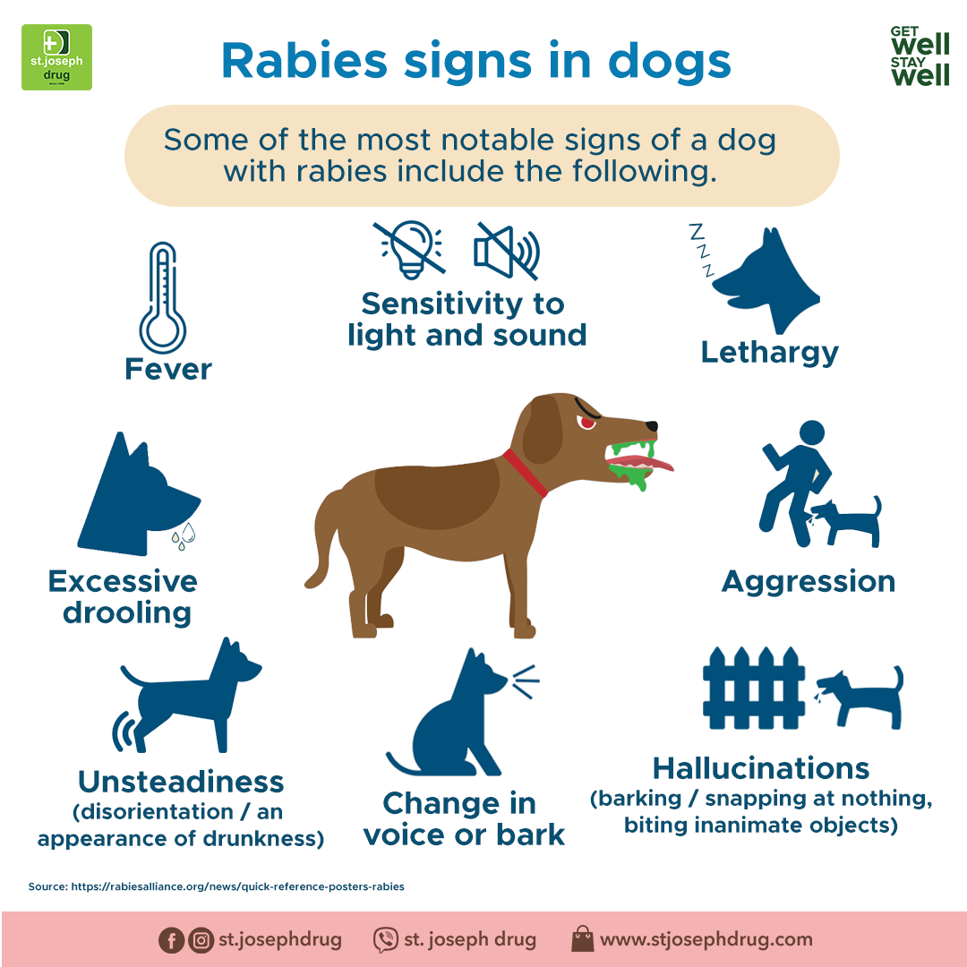 World Rabies Day - St. Joseph Drug - Online Store