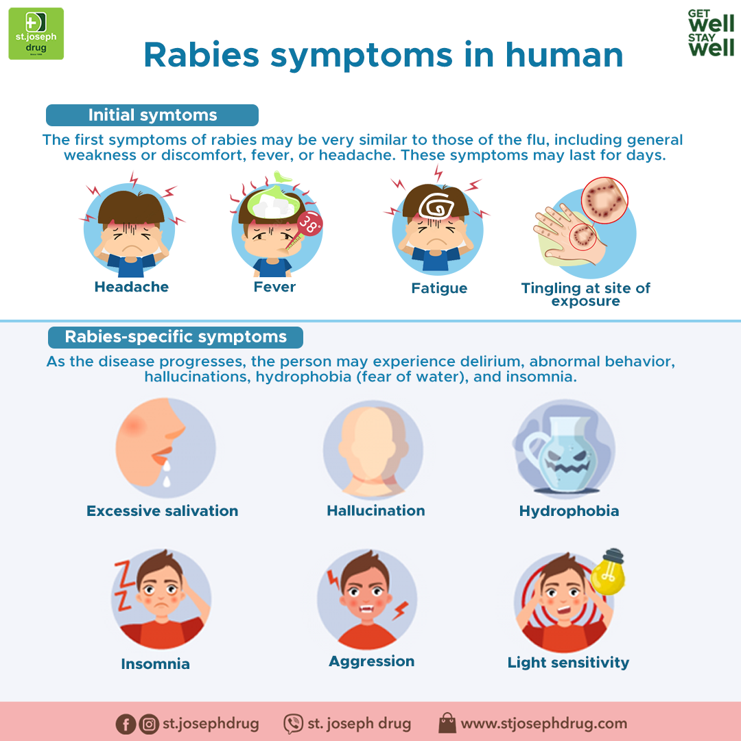 World Rabies Day - St. Joseph Drug - Online Store