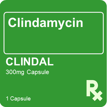 Clindal 300mg 1 Capsule - St. Joseph Drug - Online Store