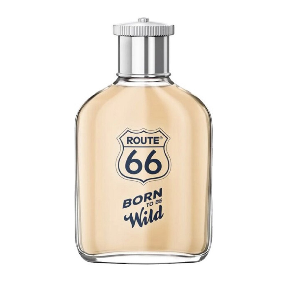 ROUTE 66 BORN TO BE WILD TESTER 3.4 EAU DE TOILETTE SPRAY FOR MEN ...