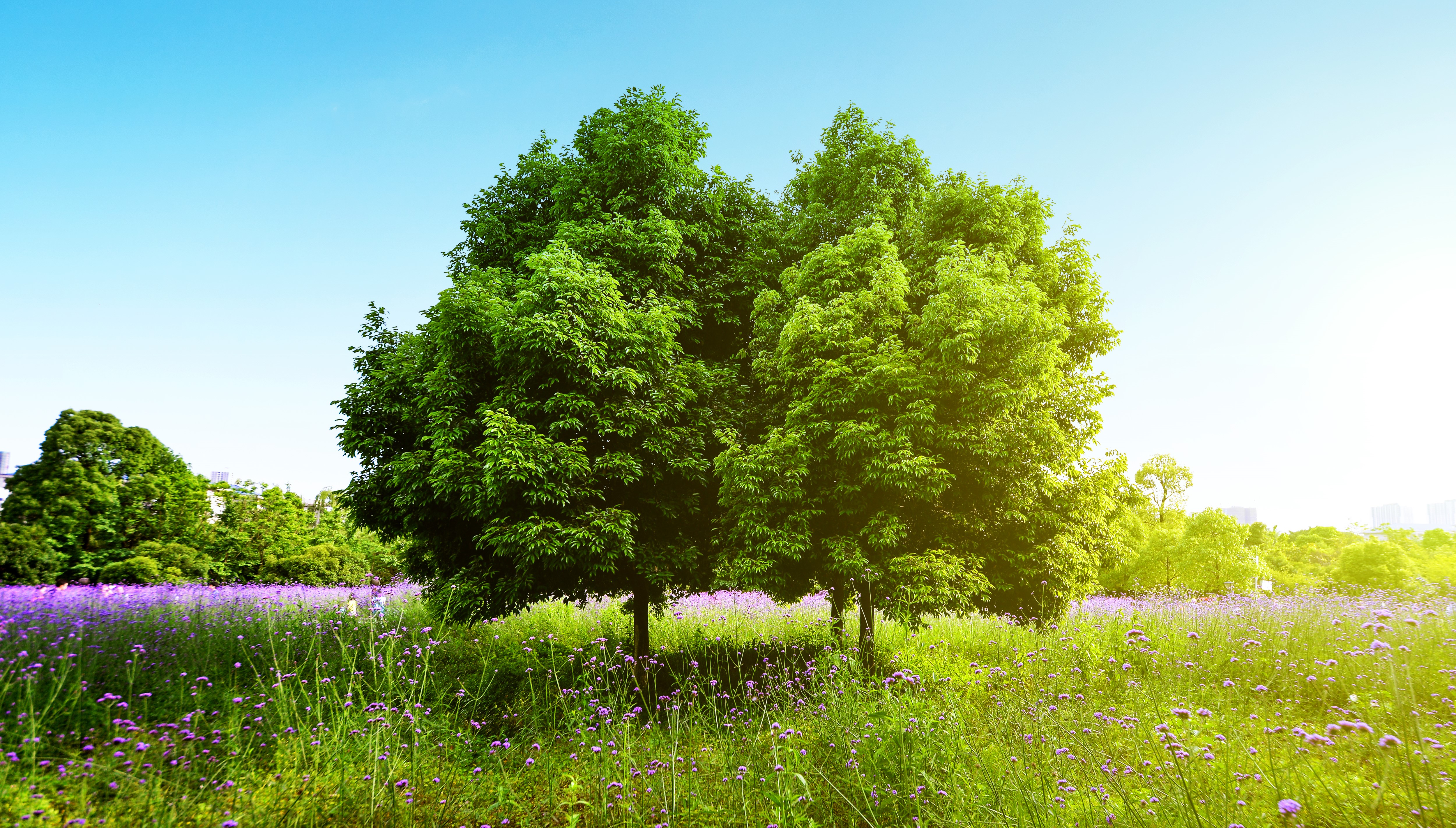 [VL-S] Sensotec zet zich in voor een duurzame wereld - Lexima België