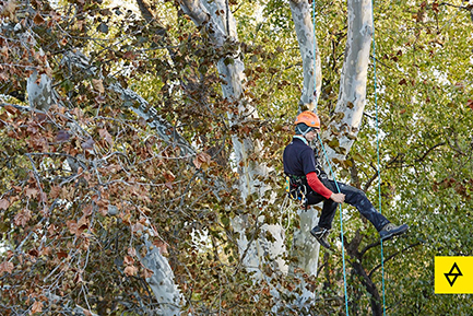 25 Years, 25 Partners. Profile #3: Kyle McCabe - SterlingRope.com