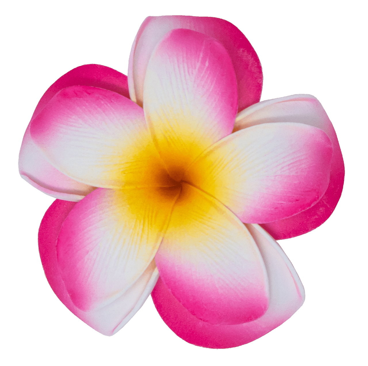 Aloha Jewelry - Hair Accessories - Olu Olu Flowers - ABC Stores