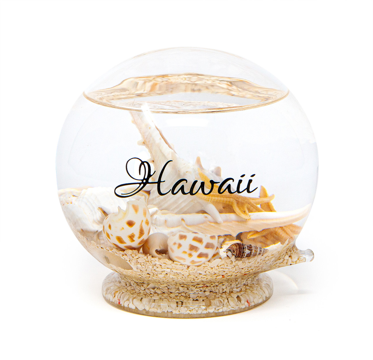 Hand-Blown Seashell Glass Ball - Large