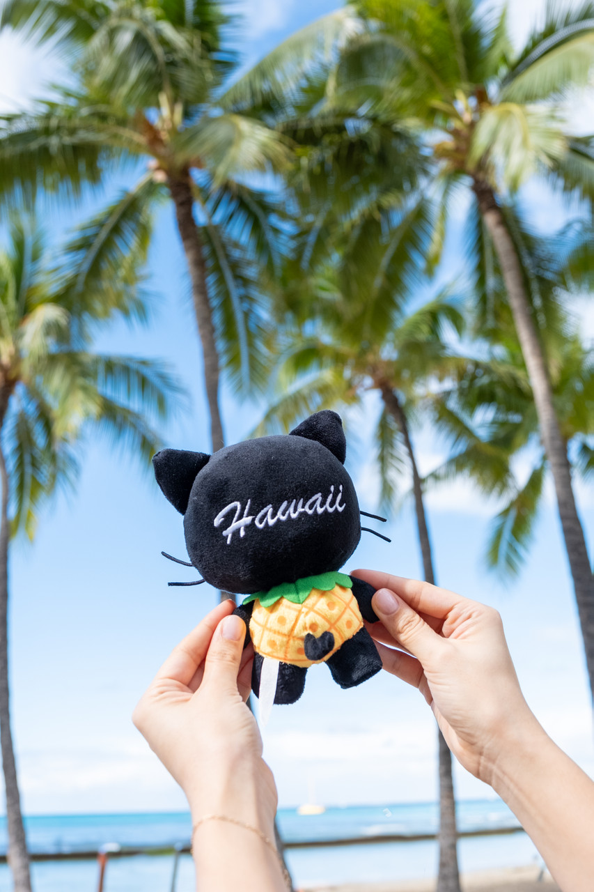 DISC 2025 Chococat Plush 6" - Pineapple