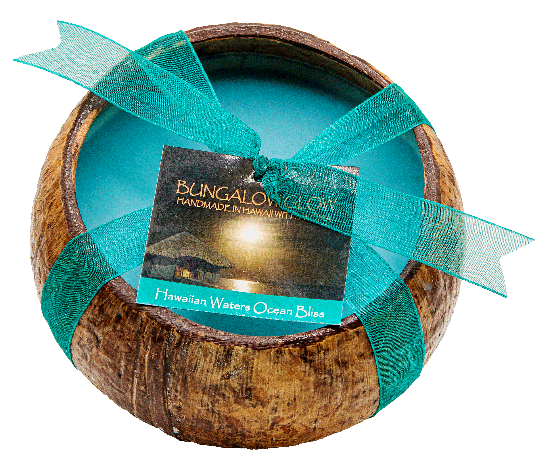 Medium Coconut Shell Soy Candle: Hawaiian Waters Ocean Bliss