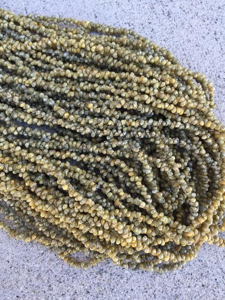 Shell Lei Gift Set