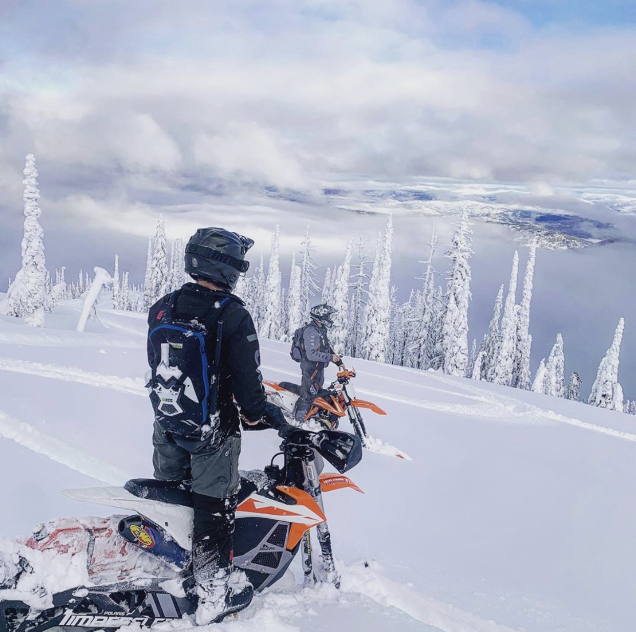 Engine Armor - Selkirk Snowbike