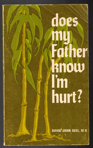 Does My Father Know I'm Hurt? by David John Seel