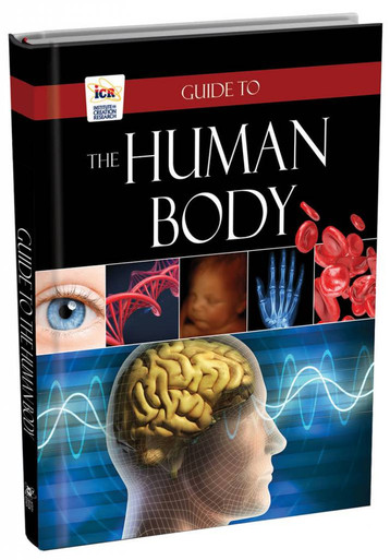 Guide to the Human Body - Institute For Creation Research