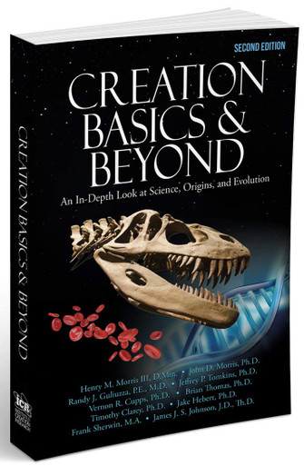 Creation Basics and Beyond - 4Gospel.com