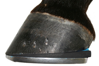 Plastic Natural Balance Perforated Pads-EDSS Online Horseshoe Supply