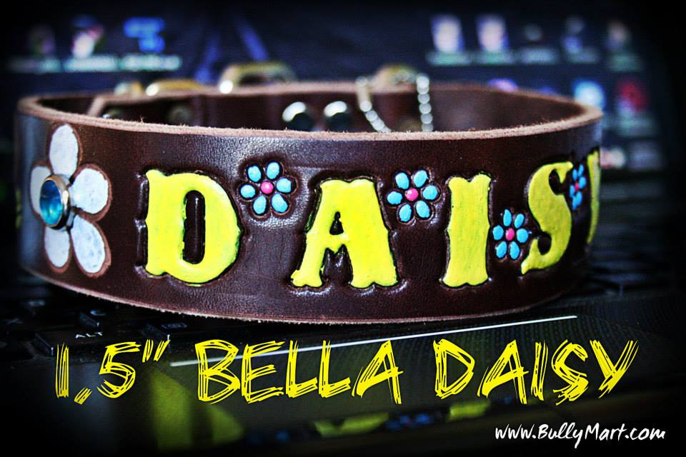 1.5" BELLA DAISY Flower Jeweled Dog Collar - Bully Molosser Mart