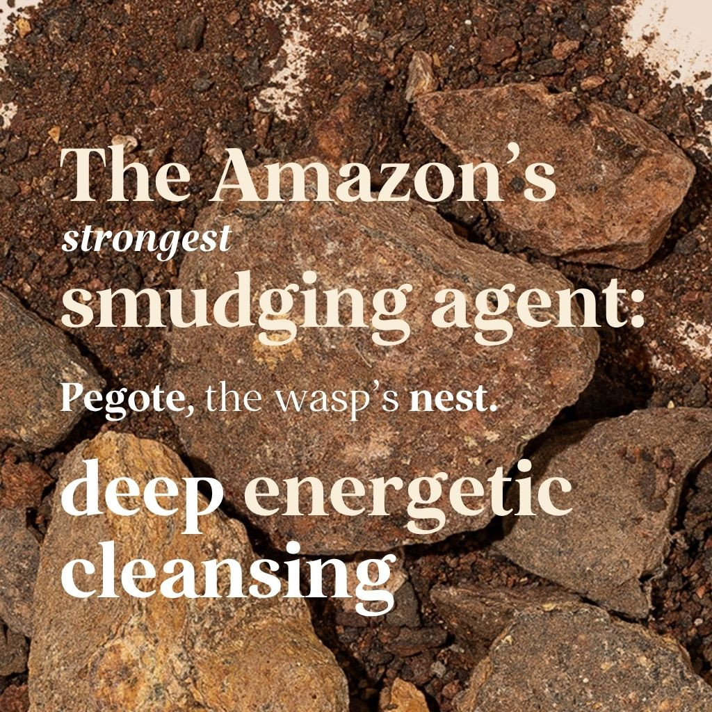 Smudging Pegote Resin: Deep Cleansing Smoke | Four Visions