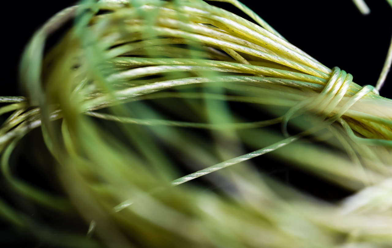 Sweetgrass Braid: Sacred Native Incense | Four Visions