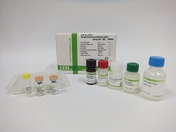 Human GD-IgA1 (Galactose-Deficient IgA1) | Human Galactose-Deficient ...