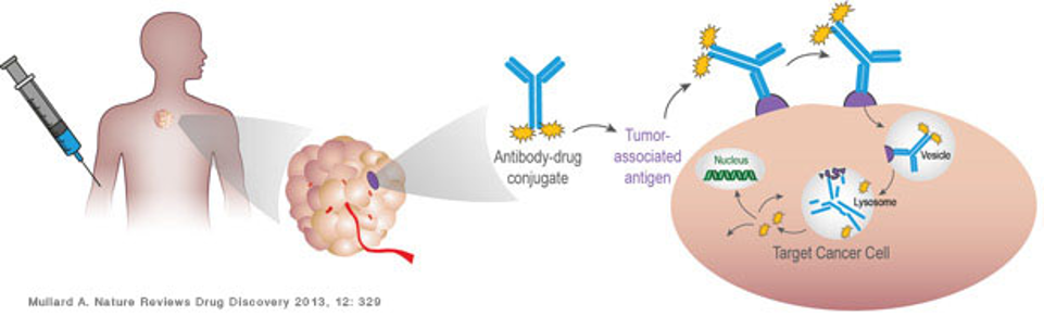 How Far We Have Advanced in the Chemotherapy World - IBL America Online ...
