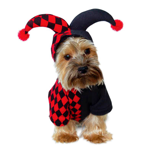 Jester Pet Dog Costume | Dogo Pet Fashions at PupRwear