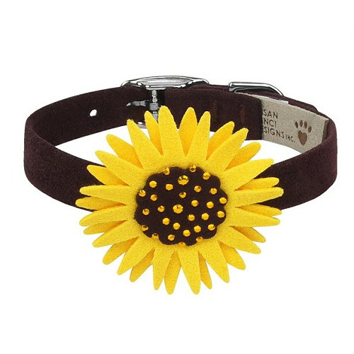 Sunflower Dog Collar Collar | Susan lanci at PupRwear