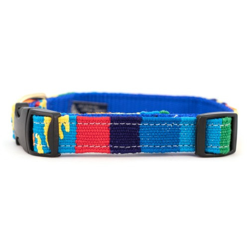 Fiesta Collars, Leashes, & Martingale Collars | A Tail We Could Wag