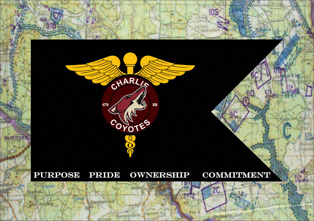Combat Vets Custom Guidon
