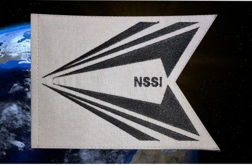 8x12 Space Force Space Operations Command Mini Guidon For Frame