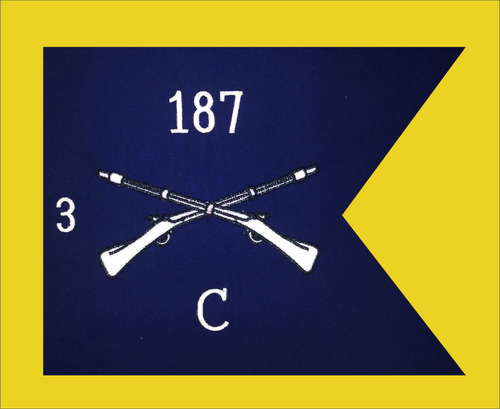 Army Guidon Full Size for Frame (20x27)