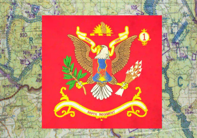 249th Regiment Flag