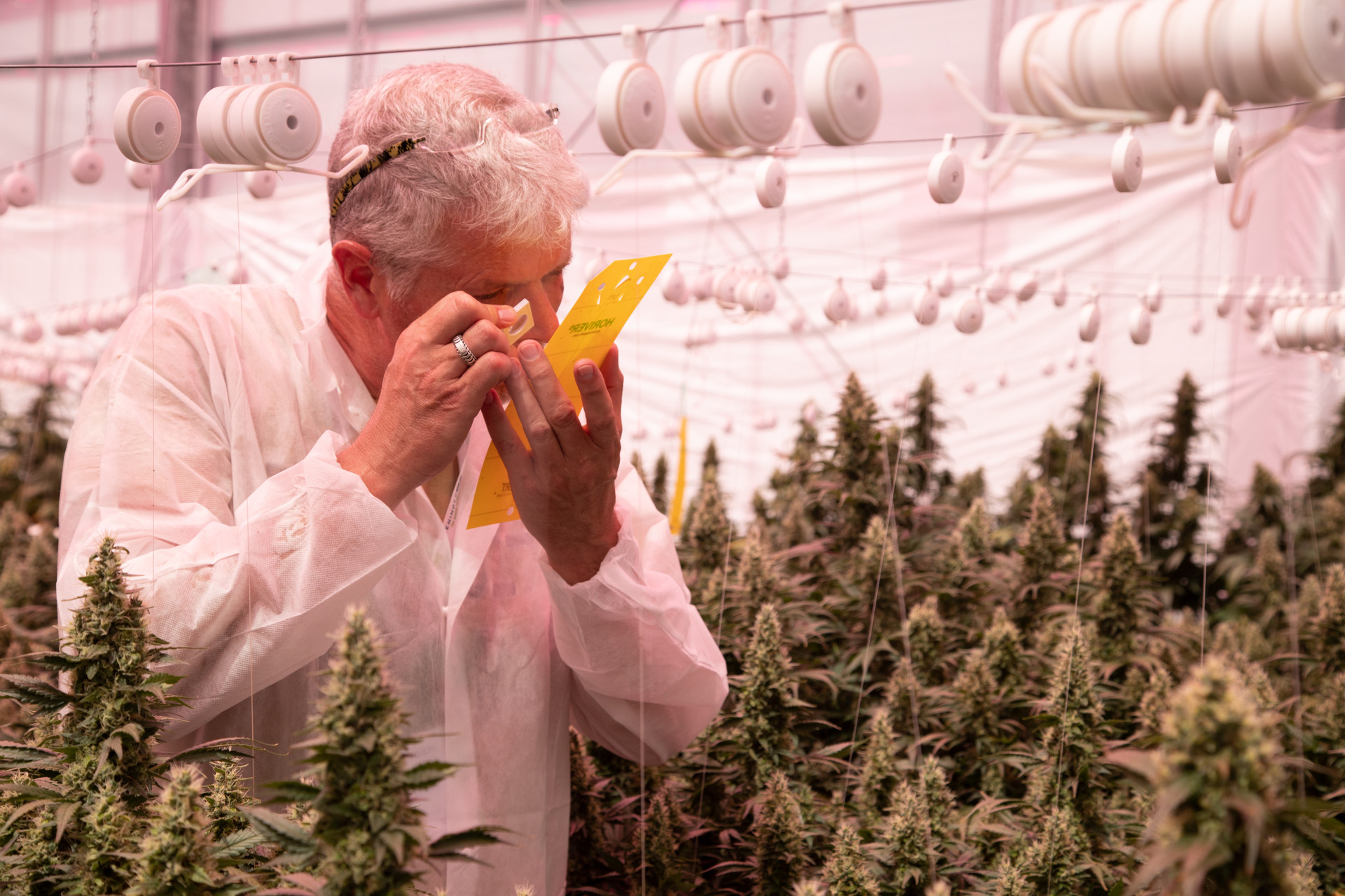 Traps & Application | Natural Enemies Organic Chemical-Free Pest Control