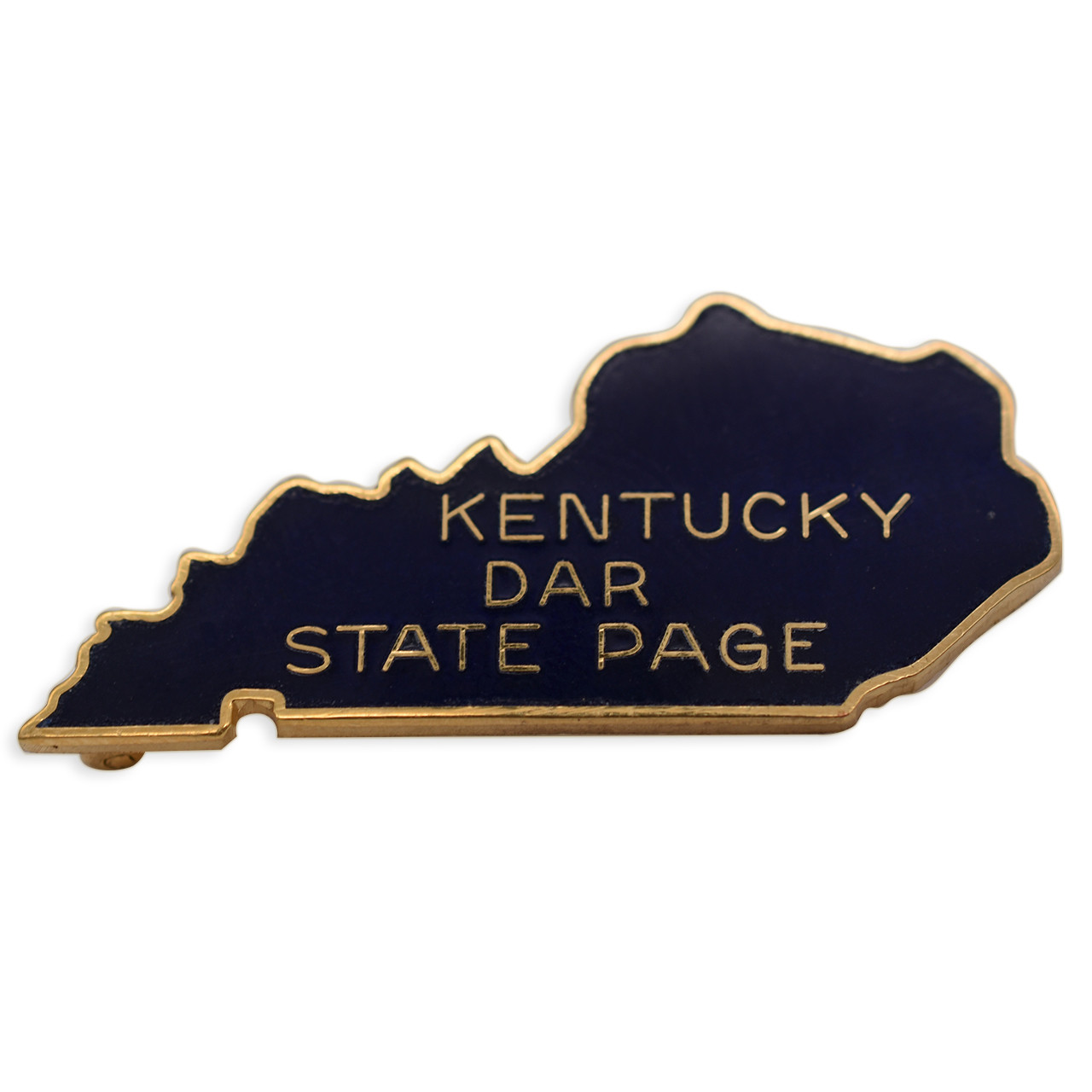 Kentucky State Pin - DAR Shopping