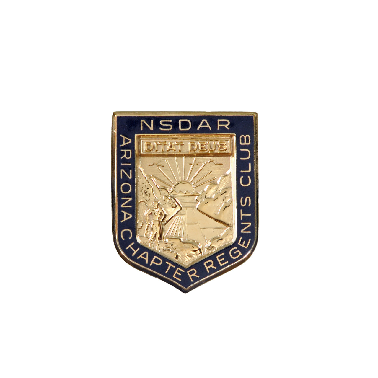 Past Chapter Regent - DAR Shopping