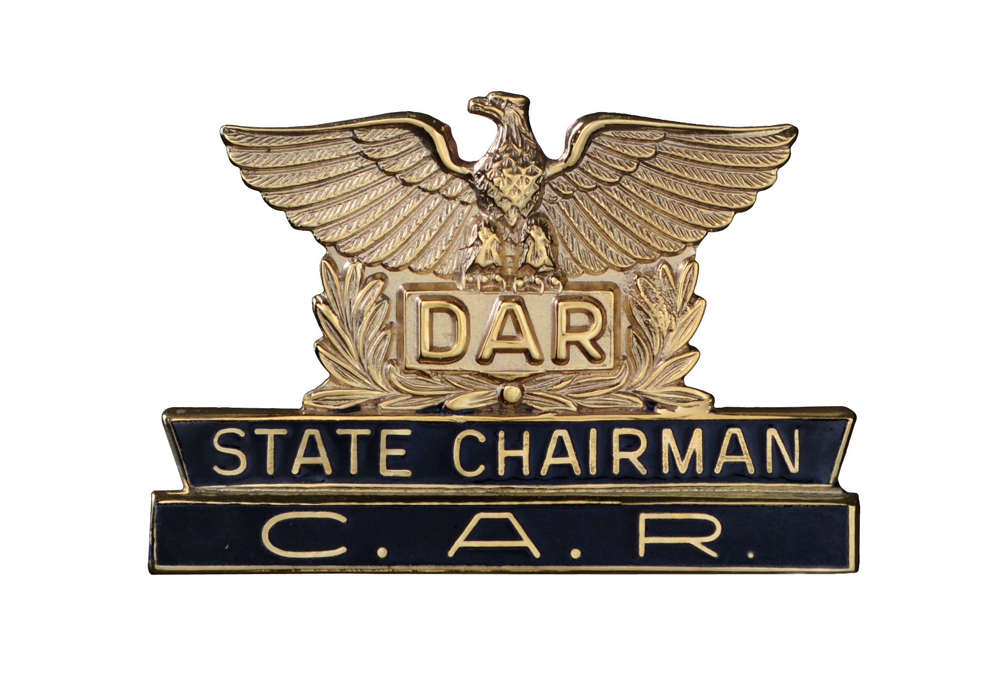 Lineage Research State Chair of a National Committee - DAR Shopping