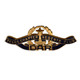 Past Chapter Regent - DAR Shopping