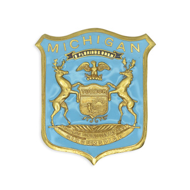 Michigan State Pin - DAR Shopping