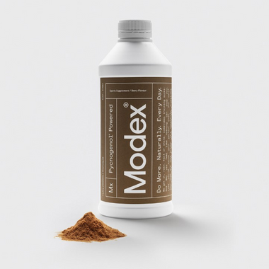 Arborvitae Modex Sports 1tr | Blooms The Chemist