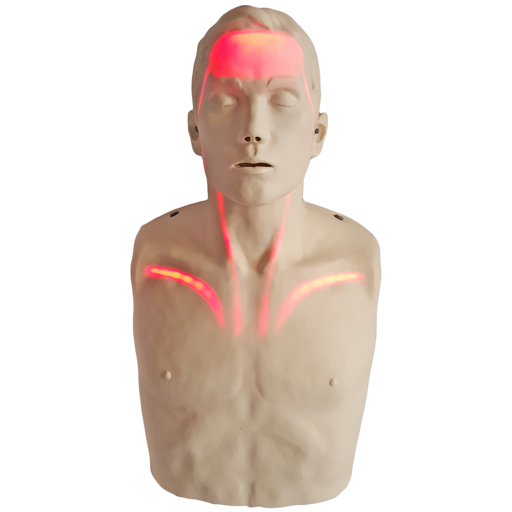 Aero Healthcare Brayden CPR Manikin with Blood Flow Circulation ...