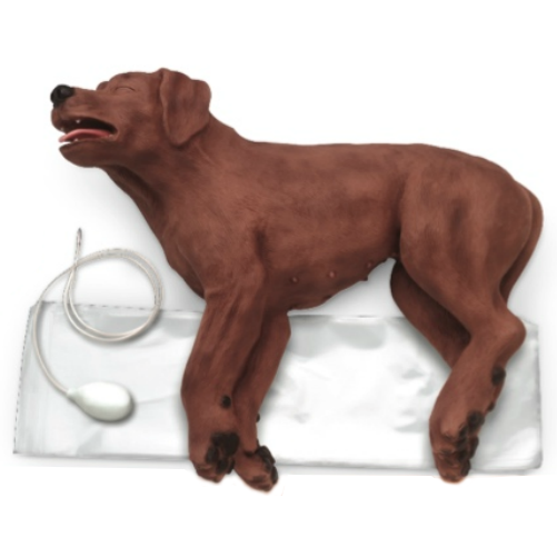 Simulaids CasPeR the CPR Dog Replacement Lungs