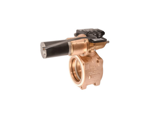 Akron 4" Swing-Out Valve with Gear Actuator, Less Handle & Adapters