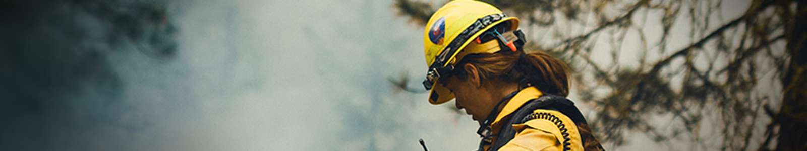 Wildland Helmets - TheFireStore