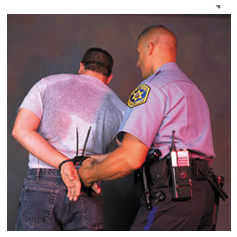 Monadnock Double Cuff Restraints