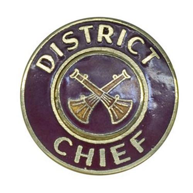 District Chief Collar Insignia Pin