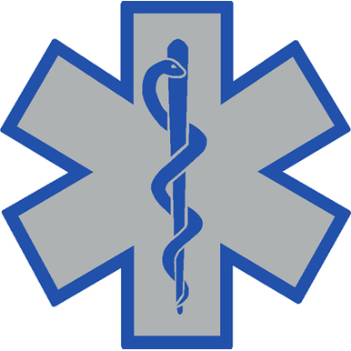 Silver Star Of Life Decal with Blue Border