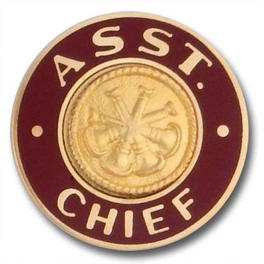 Gold Assistant Chief Collar Insignia Pin