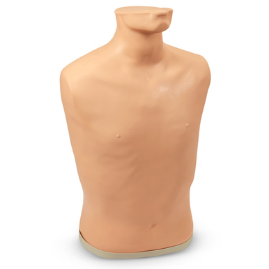 Simulaids Additional Body for Life/form® Auscultation Trainer and ...